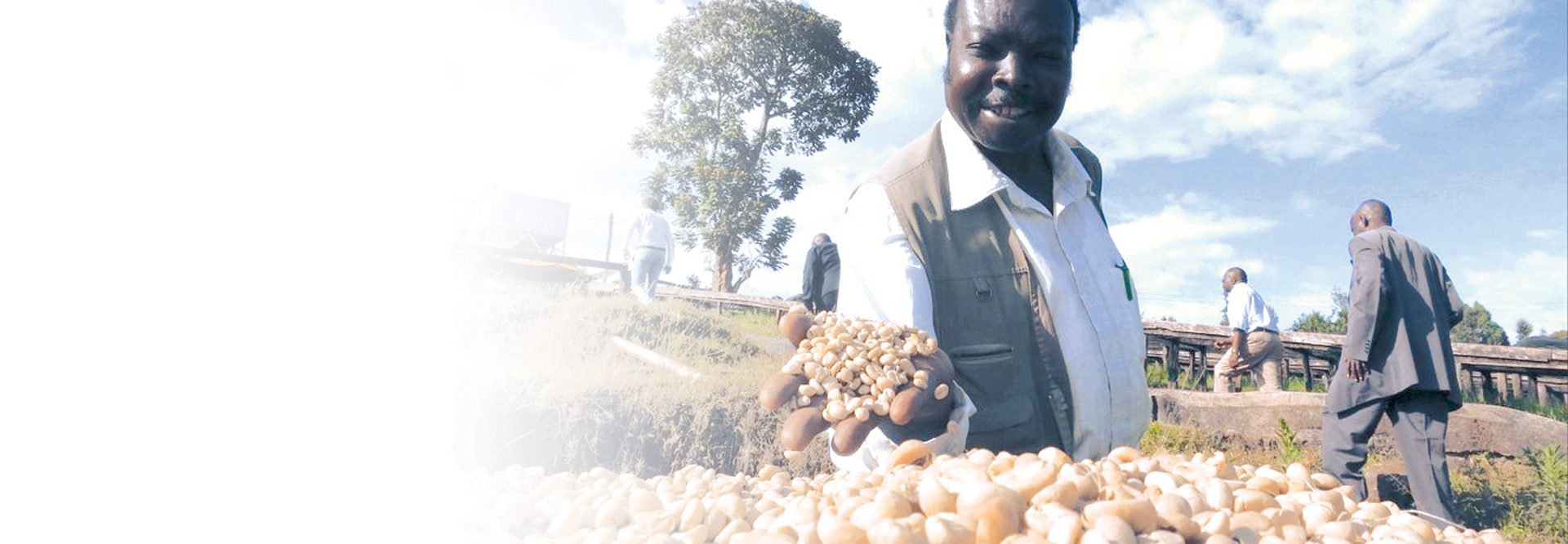 Geotraceability Platform for Small Producers - Blog | Optel